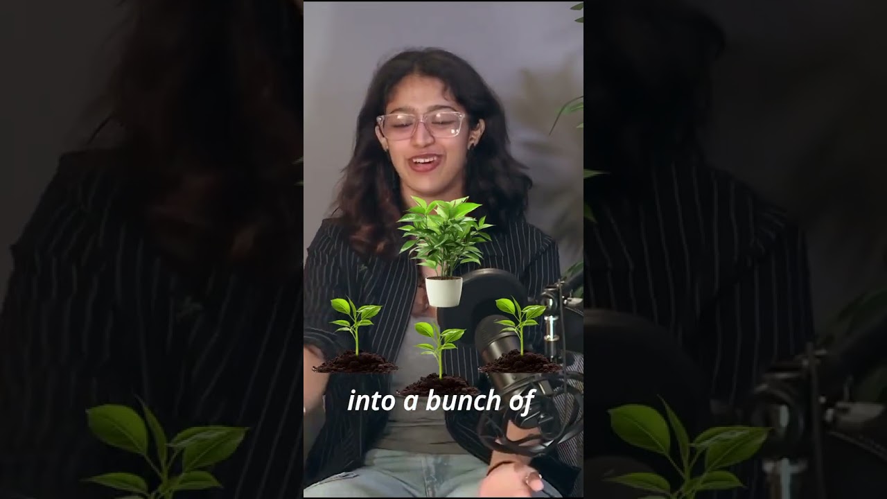 Ep. 6: Environmental Appreciation with UBC Botany Enthusiasts Club | Campus Greenprint