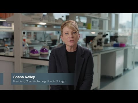 Championing Women Business Leaders in Illinois | Shana Kelley