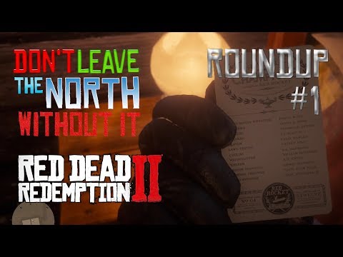 RED DEAD REDEMPTION 2 - TIP 01 - Roundup #1! [PS4 Guide]