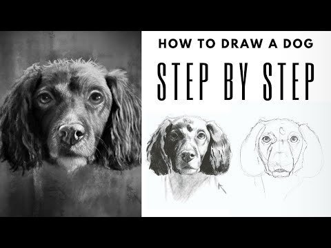 Easy Step by Step Guide for Drawing a Realistic Dog