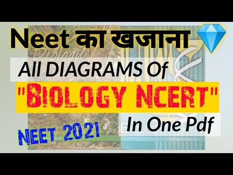 NEET 2021: All Diagrams Of Ncert Biology In 1 Pdf 🔥🔥| Neet Final Revision | Ncert Biology