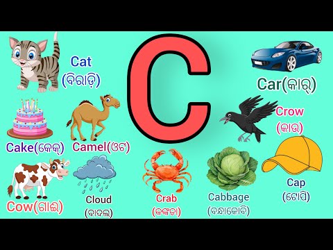 ABC alphabet//Words that starts with C in English and odia//Learn 10 words starting with letter C//