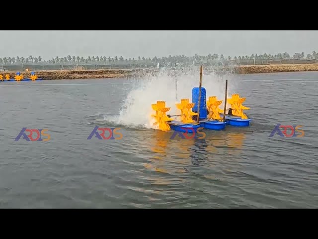 SURFACE FLOATING AERATOR - 1 HP 2 Paddle Wheel Aerator Manufacturer ...