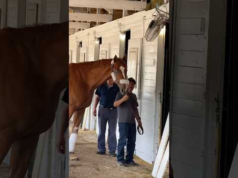 American Promise Arrives at Churchill Downs!