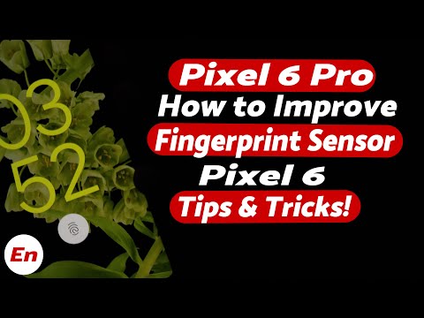 6 useful uses for fingerprint scanners on Android - IT基礎