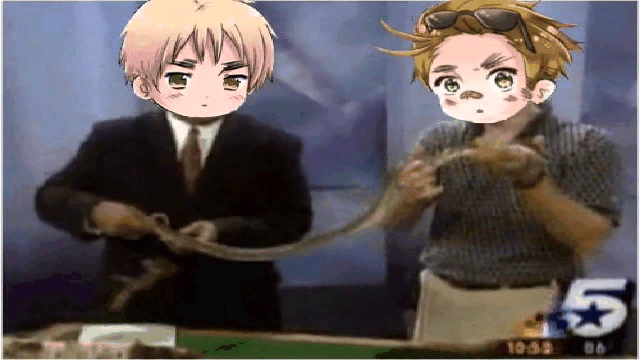 ヘタリア / Hetalia - Funny gifs compilation