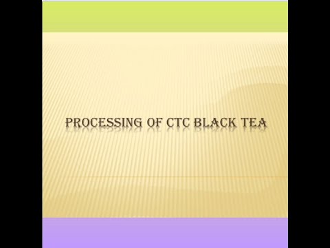 Processing of black tea