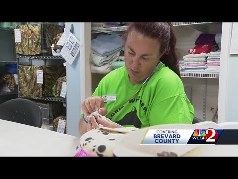 Florida Wildlife Hospital provides refuge for sick, injured animals in Brevard County