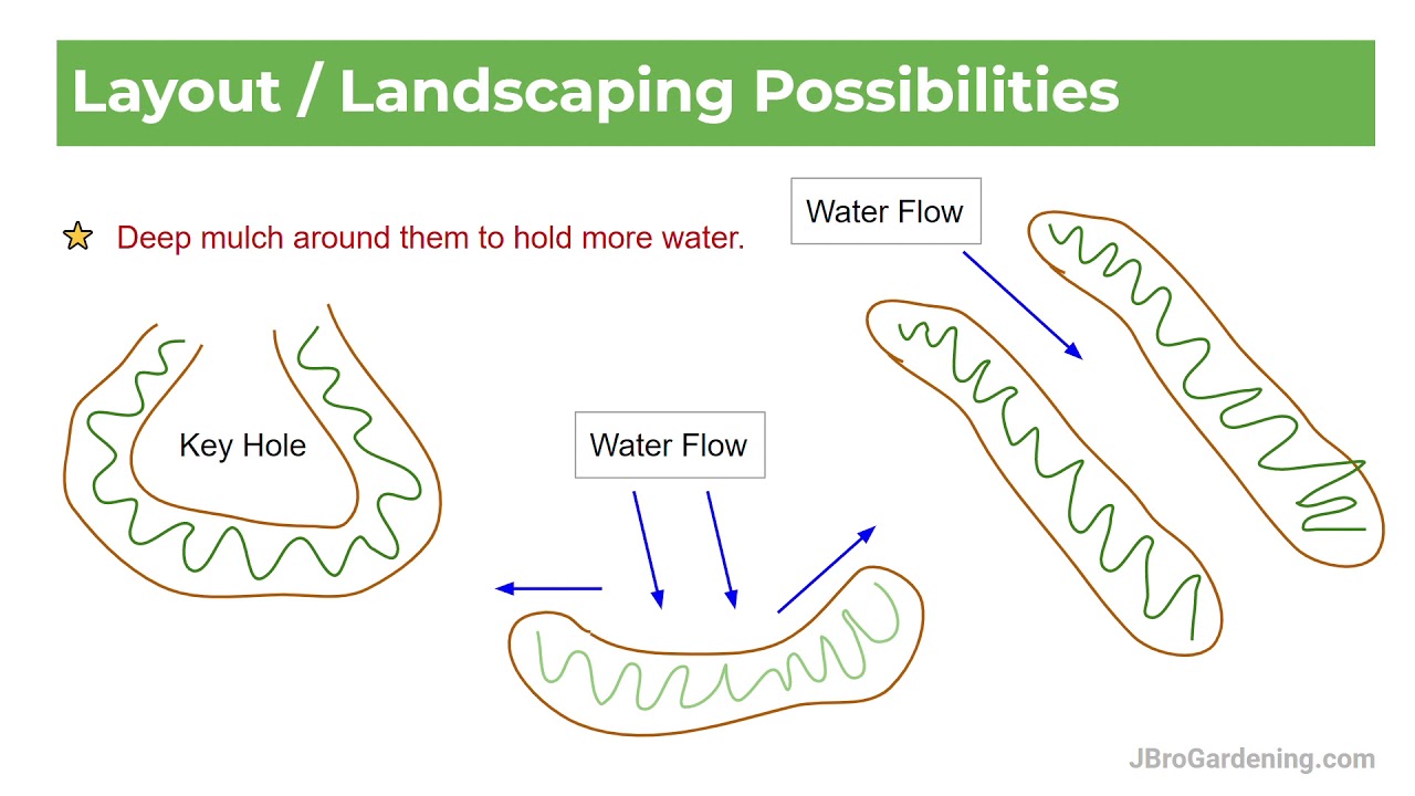 Hugelkultur Mounds | Landscaping Layout Possibilities