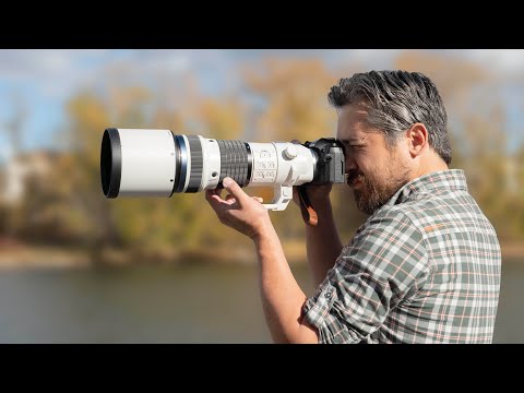 OM System (Olympus) 150-400mm f/4.5 TC 1.25X IS Pro Review: Worth The Wait?