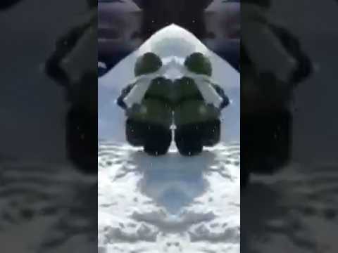 Funny monkey gif