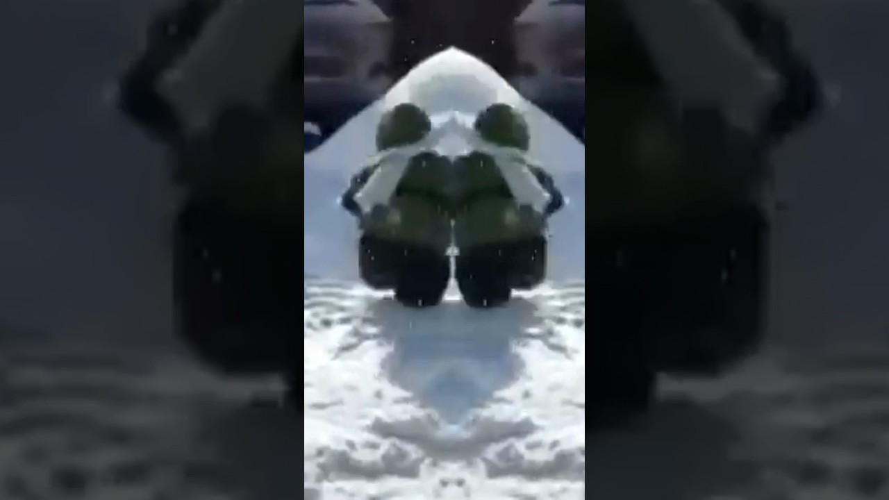Funny monkey gif