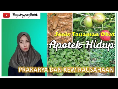 JENIS TANAMAN OBAT (APOTEK HIDUP) | TEMULAWAK, JERUK NIPIS, SIRIH, PATAH TULANG | PKWU