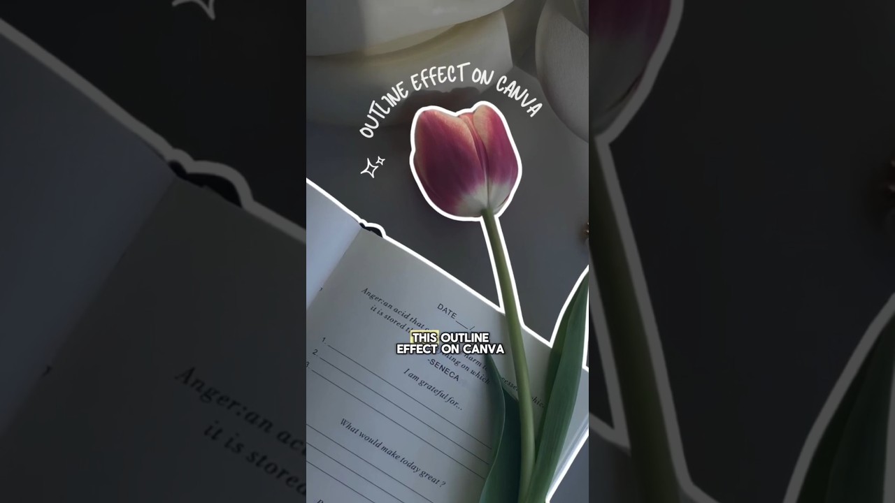 How to edit this outline effect on canva aesthetically🎀✨️ #edit #canva #outline #doodle #youtube