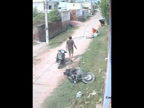 Buffalo hits a Bullet Rider | Animal Hits a Bike Rider.