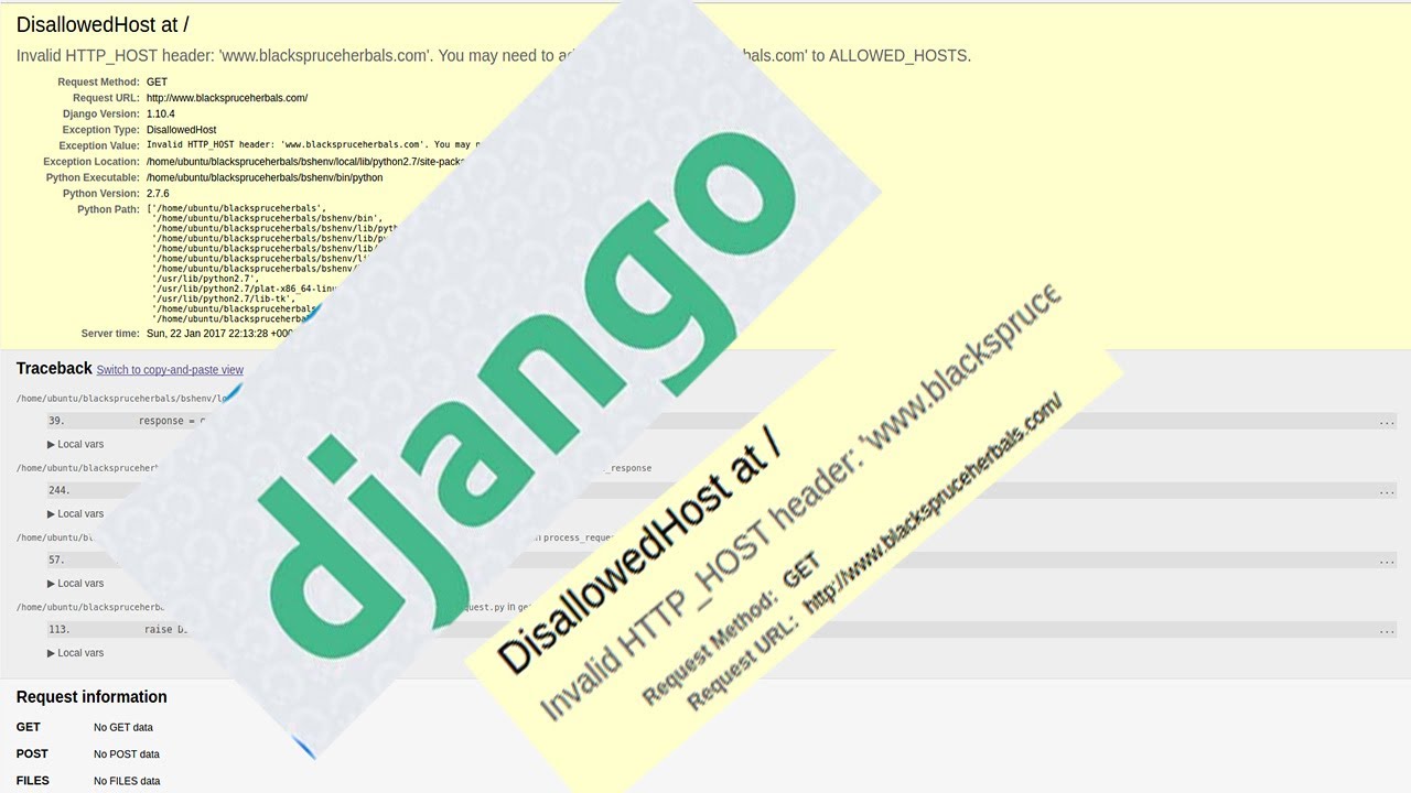 Setting allowed host in Python django settings