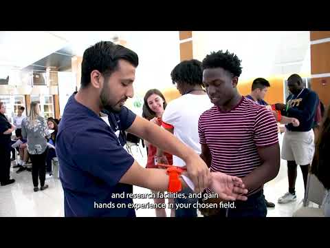 Learning in Action with the University of Rochester Pre College Program