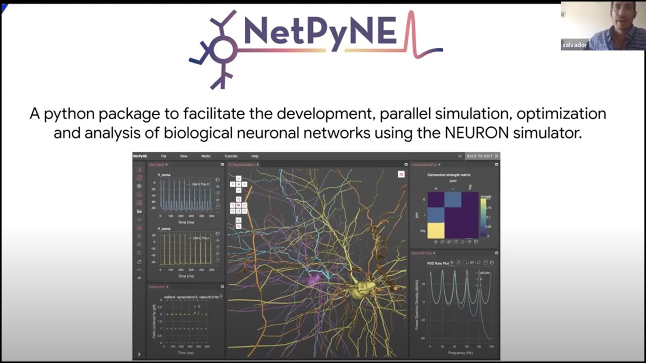 NetPyNE Tutorial 1: Introduction