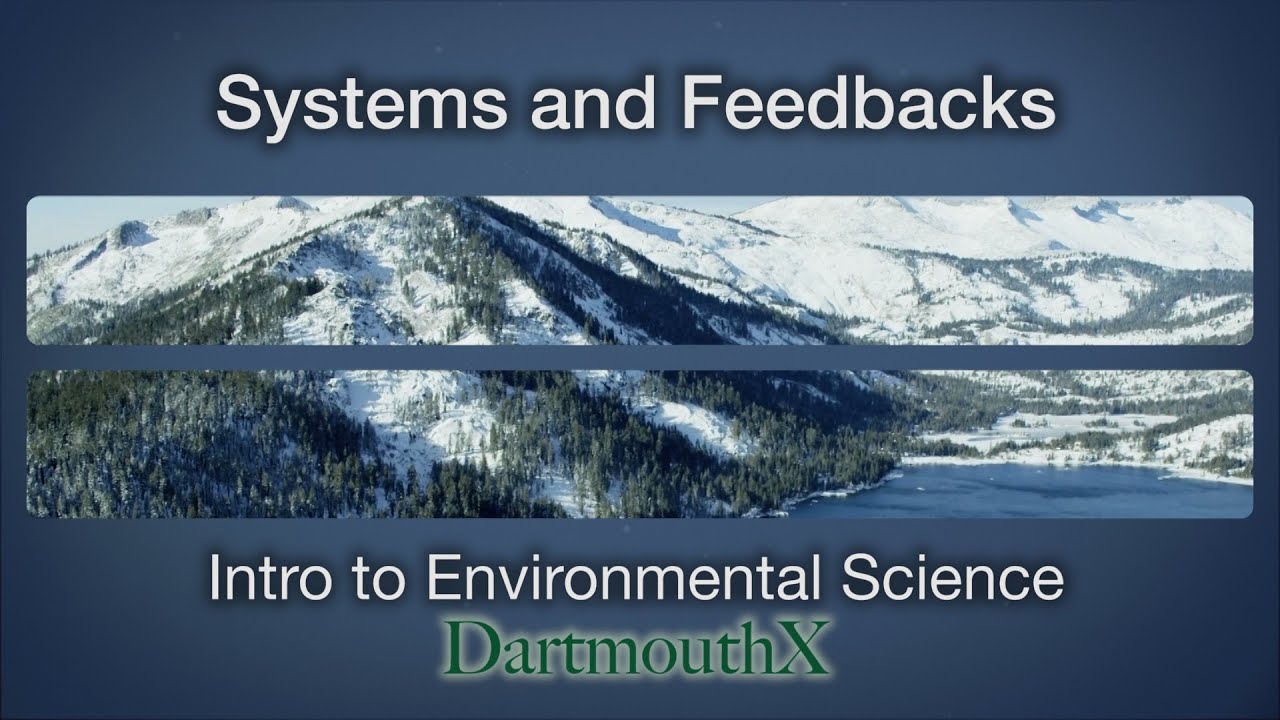 Systems and Feedbacks