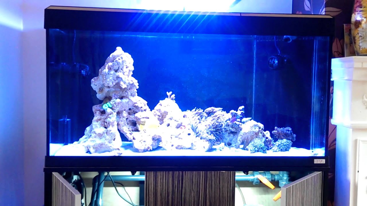 New Jebao RW-8 wave makers set up.