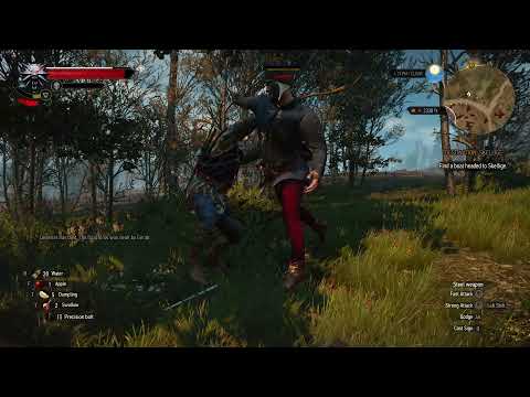 Steam Community :: Video :: Witcher 3 Brutal Finisher Gameplay Moments