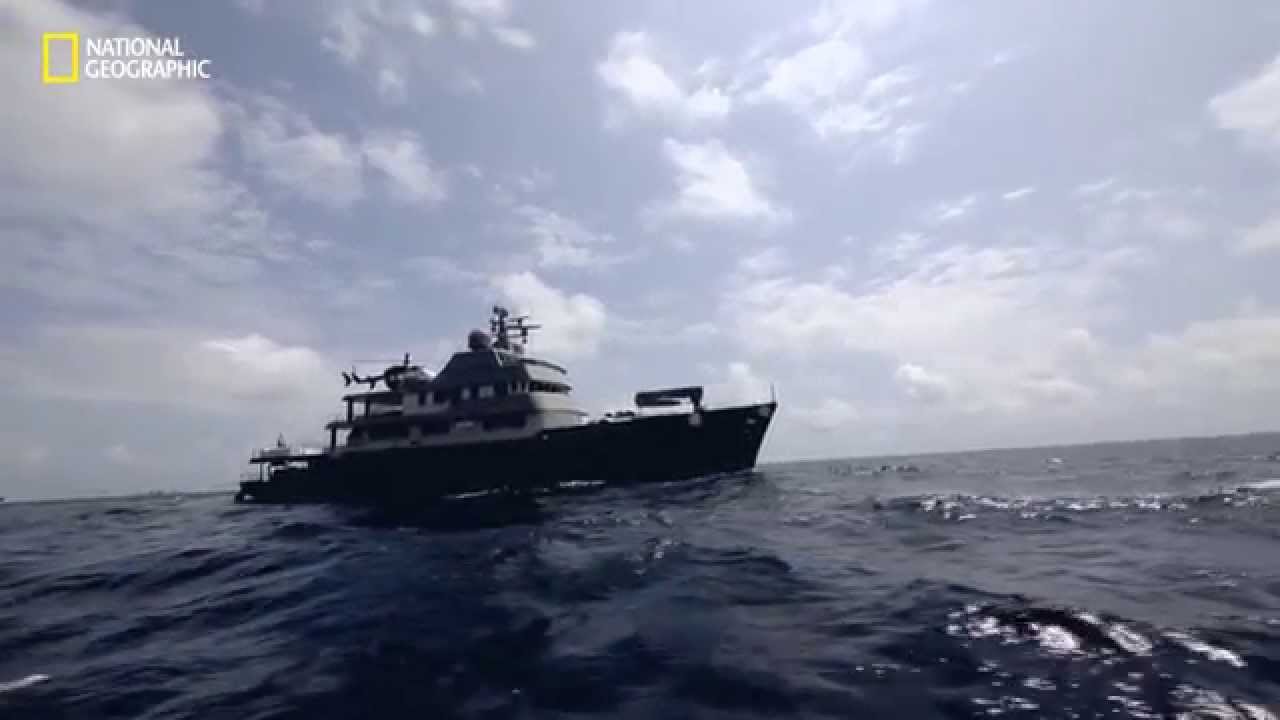 Salvar el mar de Gabón