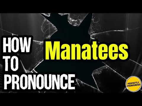 How To Pronounce Manatees? (CORRECTLY) Meaning & Pronunciation
