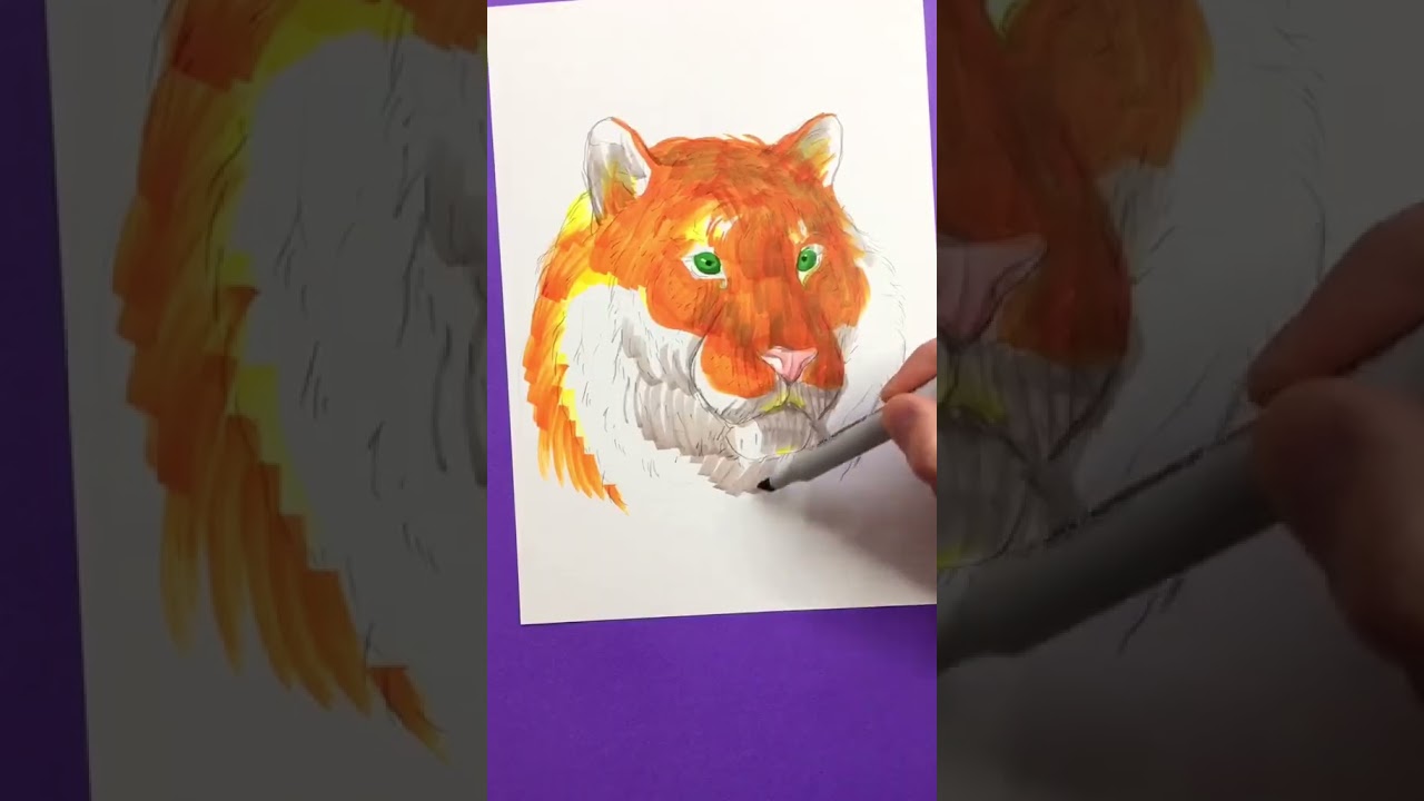 How to draw a tiger step-by-step using augmented reality 🐅