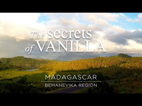 The secrets of Vanilla