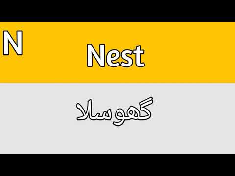 Nest Meaning In Urdu
