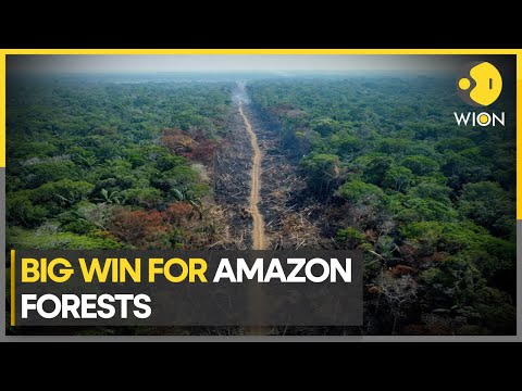 Deforestation in Brazil's Amazon has reduced by 33% in 2023 | WION Climate Tracker | Latest News