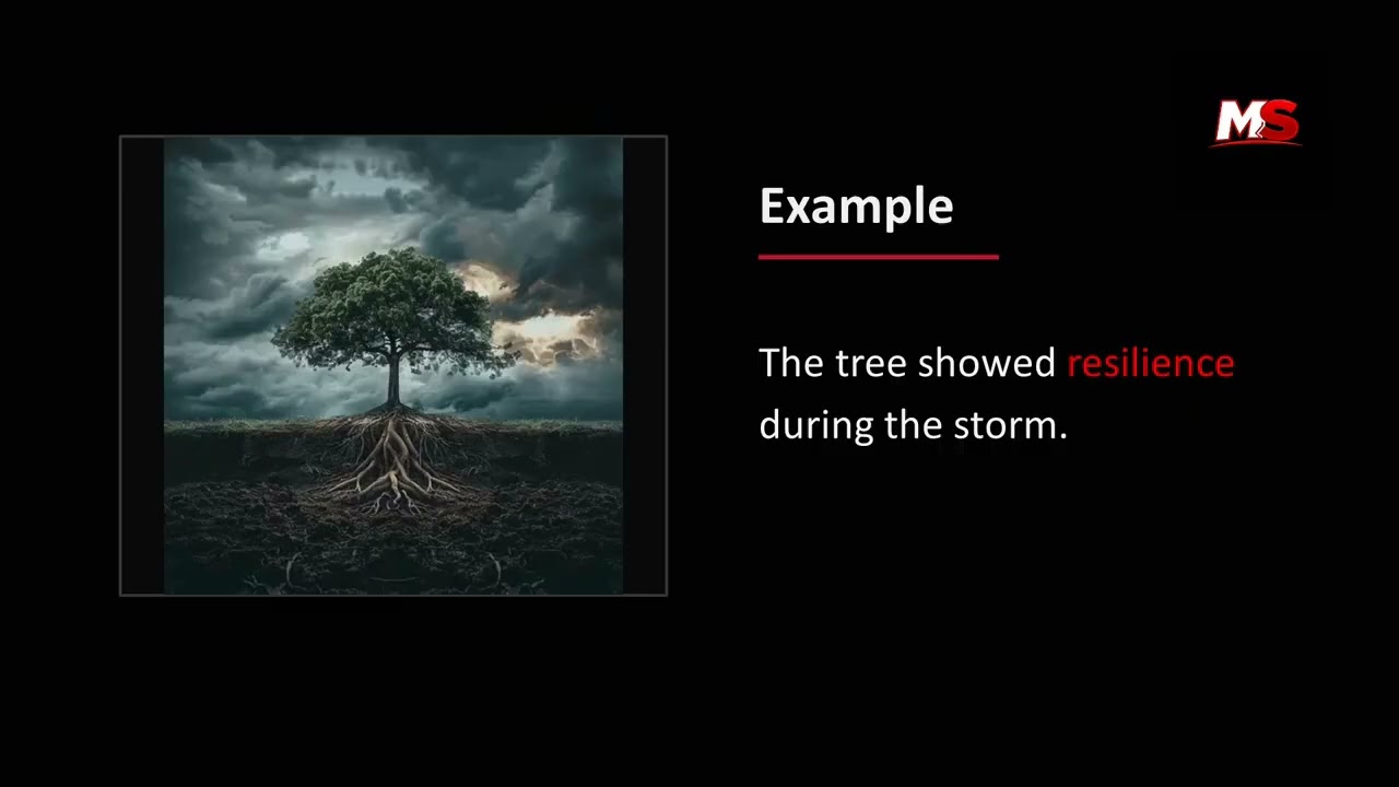 English Vocabulary | Easy Words for Daily Use