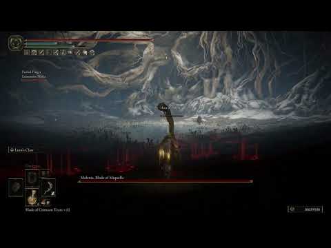 Steam Community :: Video :: Malenia COOP Potentate(Albanuric-Hoslow ...