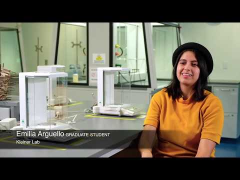 Where Do Chemists Come From?