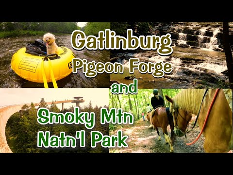 Gatlinburg - Pigeon Forge - Smoky Mtn Nat'l Park - Nature Trails, Tubing, Rafting & Zoo