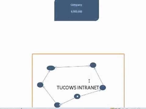 What is an intranet