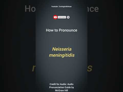 Neisseria meningitidis Pronunciation | Microbiology Pronunciation Guide | Microbial Nomenclature