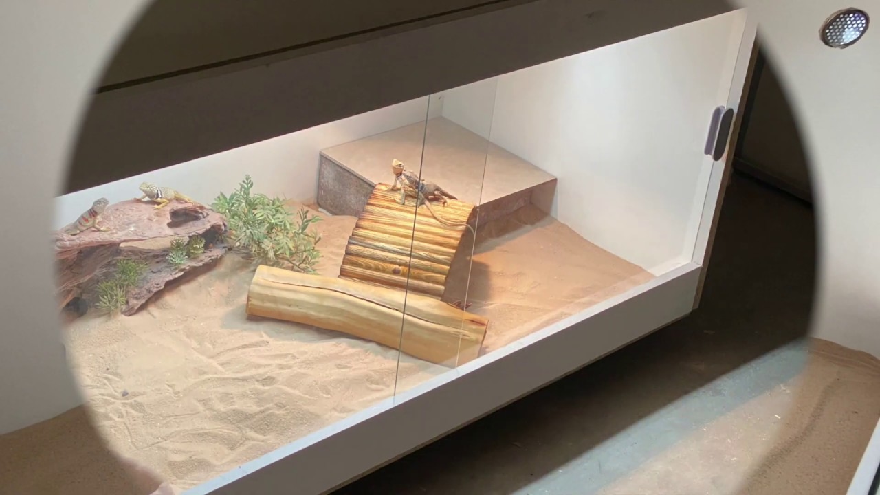 NEW BREEDING PROJECT