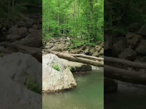 river is a natural flowing watercourse