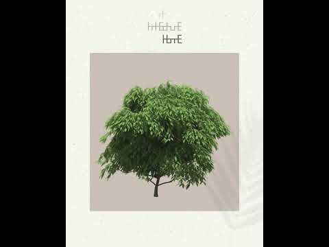 Real Tree Cliparts - Weeping fig - photoshop overlays png, Tree layout, transparent background