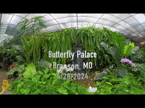 Butterfly Palace and Rainforest Adventure in VR – Park Hopping