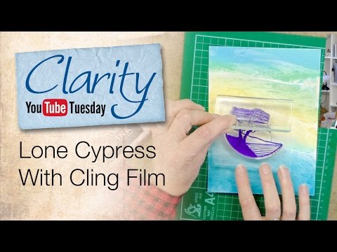 Lone Cypress With Cling Film