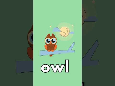Letter O Sound and Vocabulary || words that start with letter O #shorts #alphabet #kindergarten