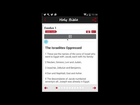 NIV Bible 1984