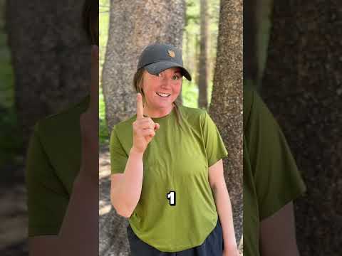 PCT GEAR SWITCHED OR DITCHED ALONG THE TRAIL - PART 1