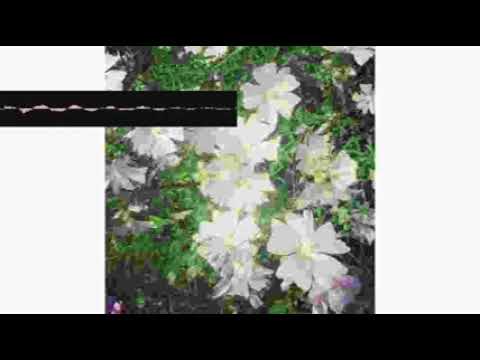 Aptitude Composing   Liturgy   ircknjypeh