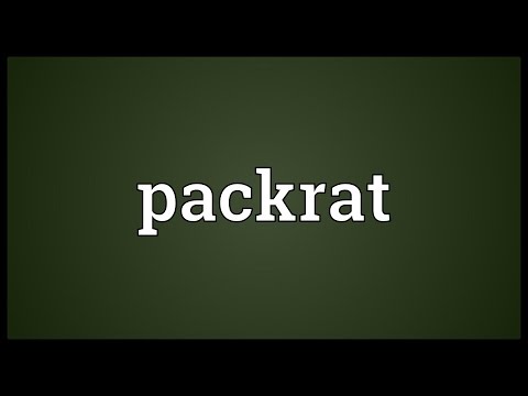 Packrat Meaning