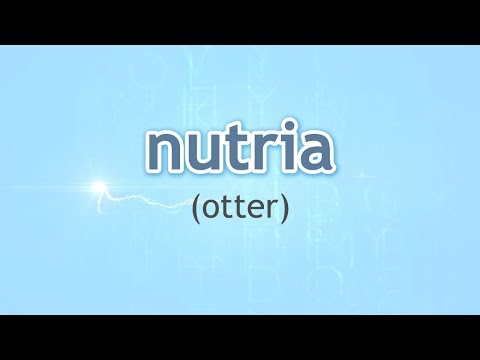 How to Pronounce Otter (Nutria) in Spanish