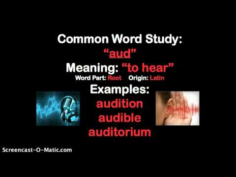 Common Word Study: aud
