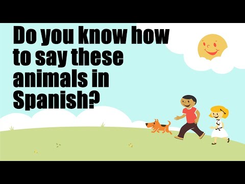 Los animales- Do you know how to say the animals in Spanish?